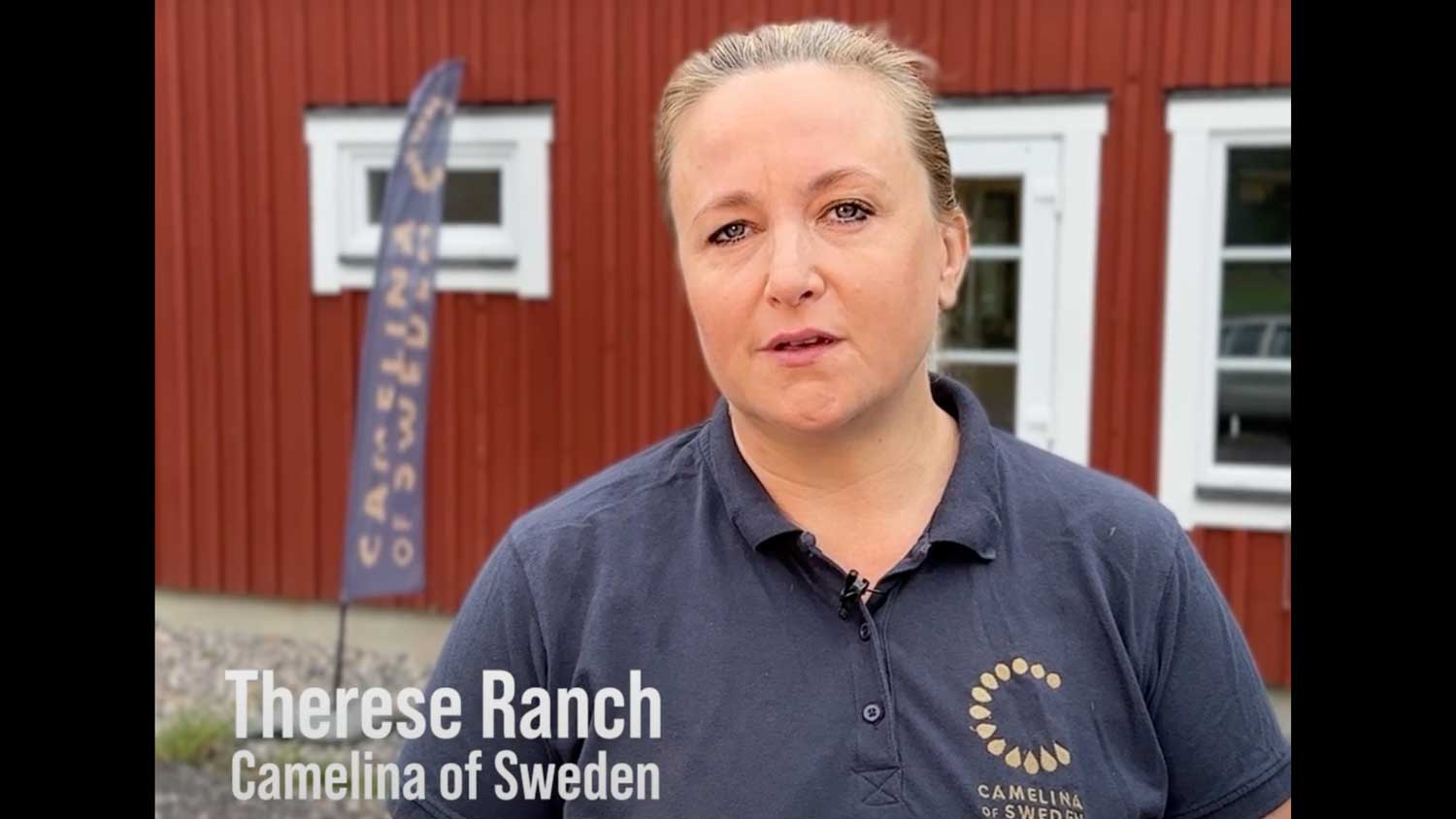 Camelina of Sweden – deltagare i Tillväxtkraft - Agro Sörmland